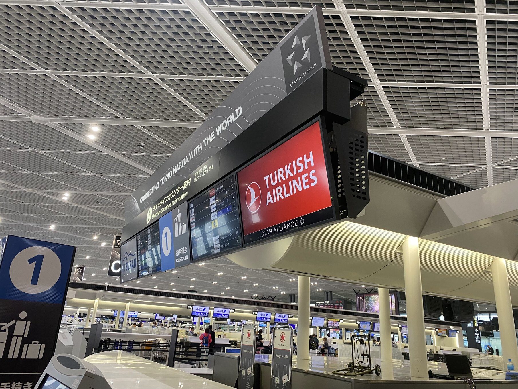 【搭乗レビュー】ターキッシュエアラインズTK51便・成田→イスタンブール エコノミークラス搭乗記 ️ 機内食・座席・アメニティ・評判を徹底解説！ | ぽちの旅ログ