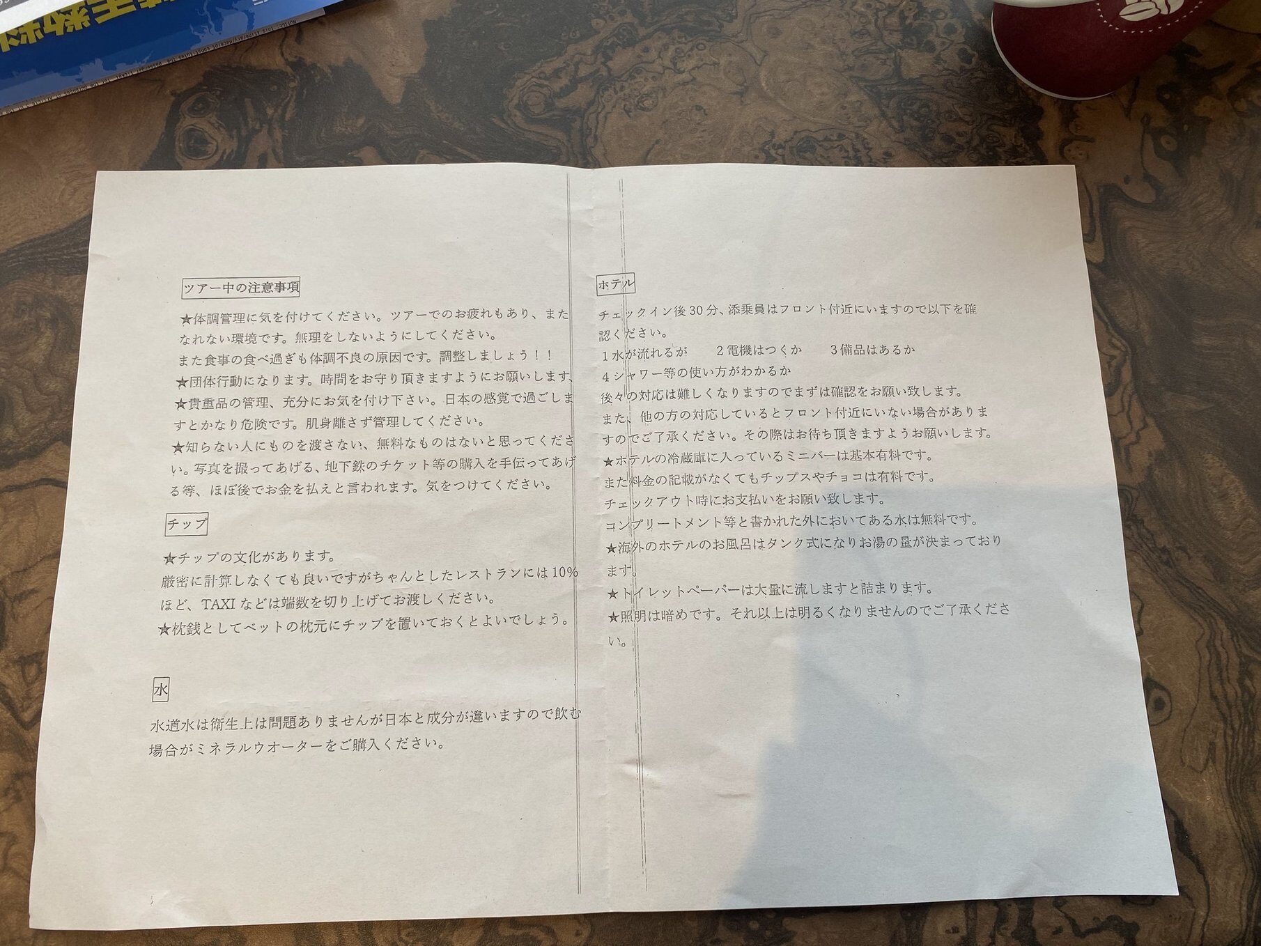 【搭乗レビュー】ターキッシュエアラインズTK51便・成田→イスタンブール エコノミークラス搭乗記 ️ 機内食・座席・アメニティ・評判を徹底解説！ | ぽちの旅ログ